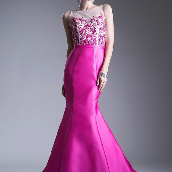 Cinderella | Dresses | Illusion Neck Mermaid Shape Prom Dress Cdkc783 ...